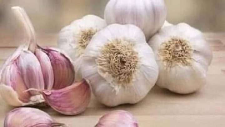 Beneficios Curativos Del Ajo. - My Blog